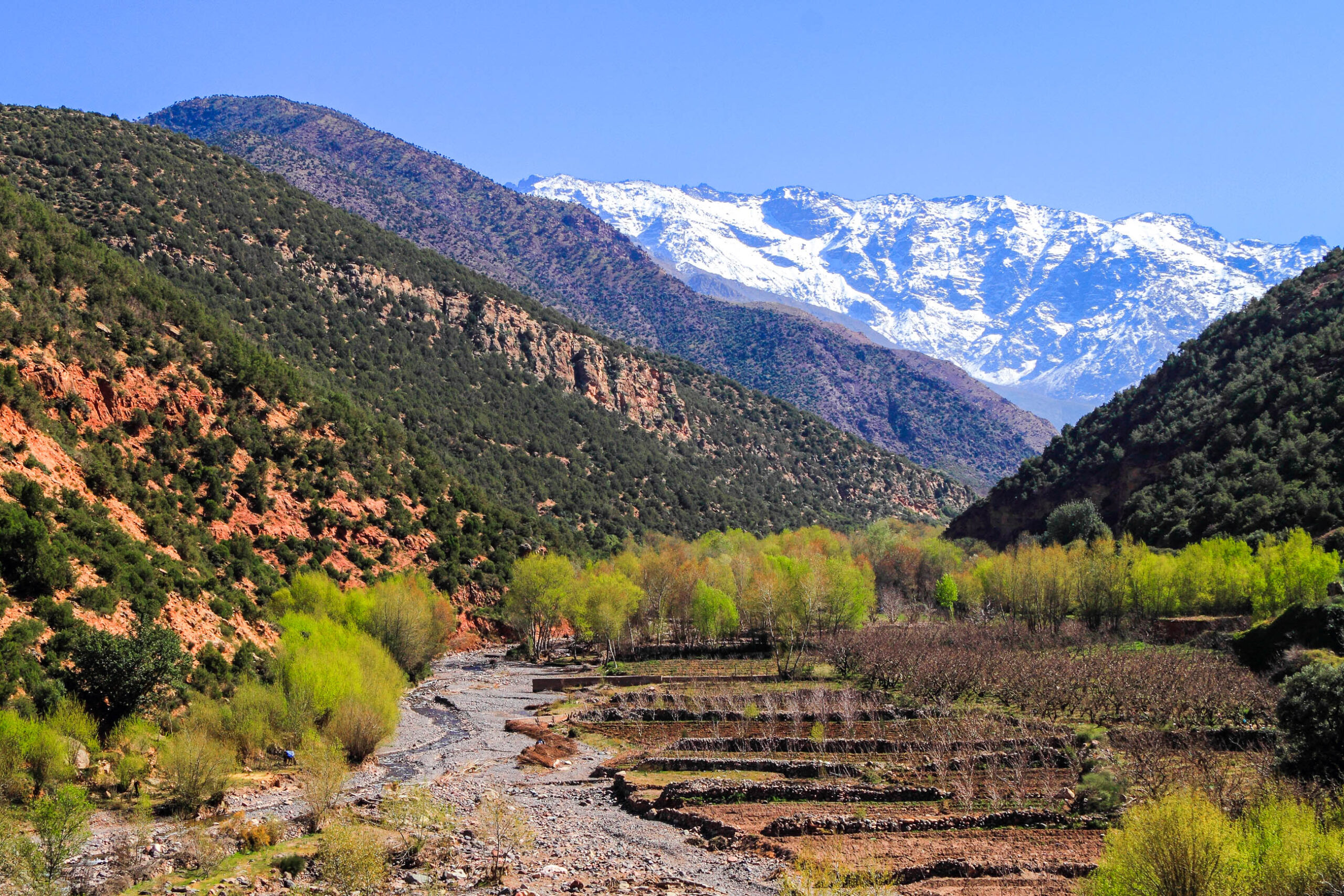 National Parks of Morocco | Colored Morocco Tours & Travel