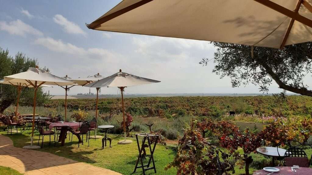 Château Roslane Wine Tasting Tour from Casablanca | Colored Morocco ...