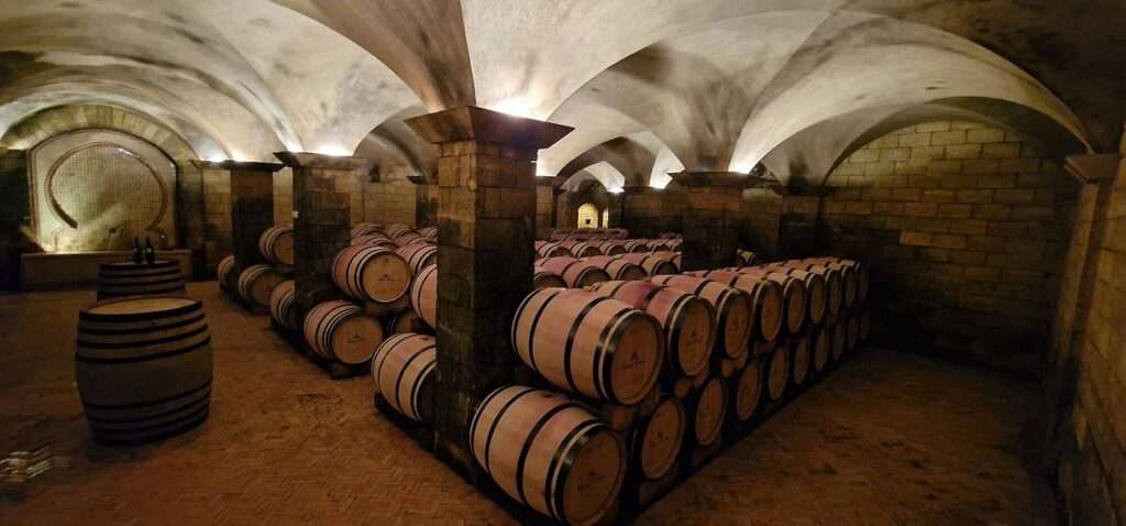 Wine Tasting Tour at Château Roslane | Colored Morocco Tours & Travel